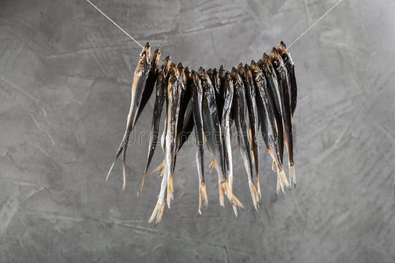 Dried Fish Hanging on Rope Against Grey Background Stock Image - Image ...