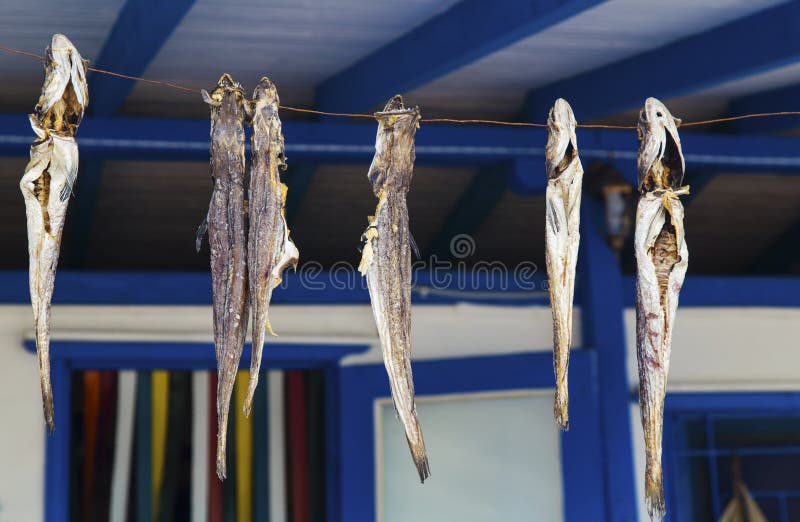 Dried Fish Hanging on a Rope Stock Photo - Image of outdoor, delicious ...