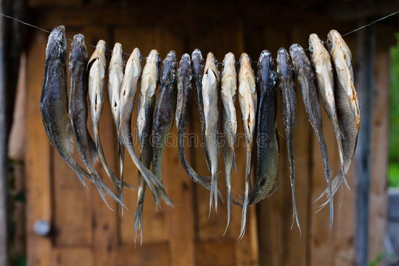 Dried fish stock photo. Image of snack, string, cuisine - 47309110
