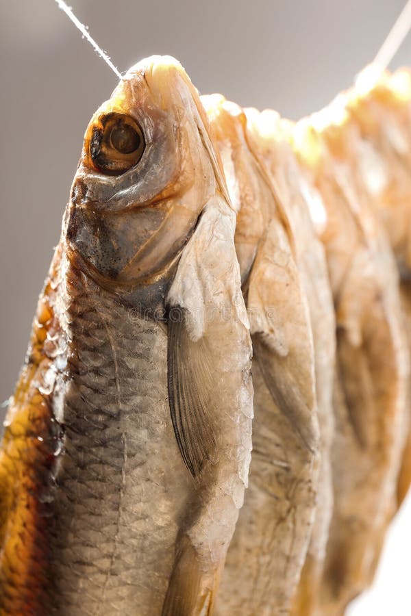 Dried Fish Hanging on Rope, Closeup View Stock Image - Image of hanging ...