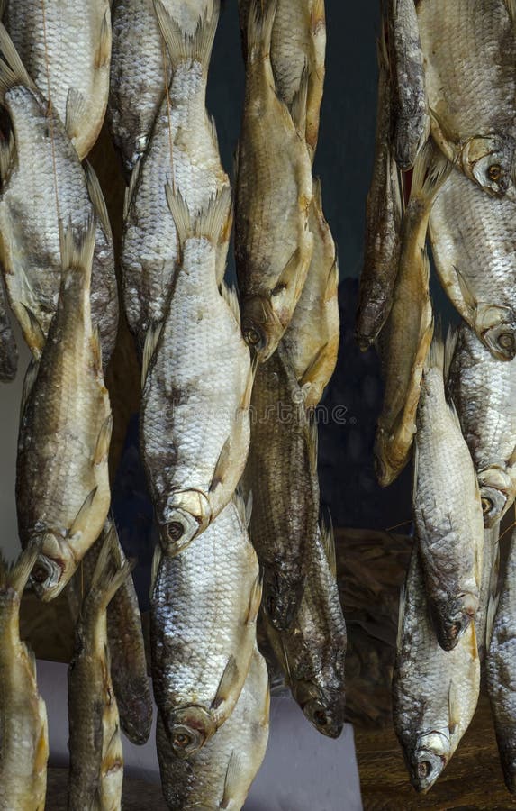 Dried Fish Hanging on a Rope Stock Image - Image of marine, jerked ...