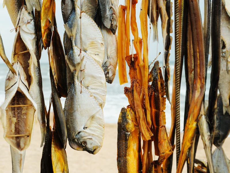 Dried Fish Hanging on a Thread. Stock Photo - Image of fishing, kipper ...