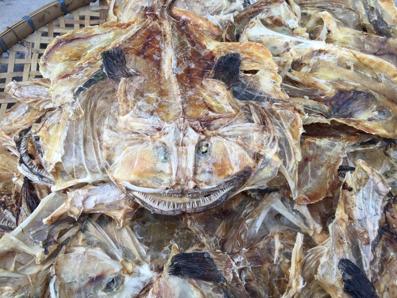 Dried fish stock image. Image of fish, dried, crispy - 64143343