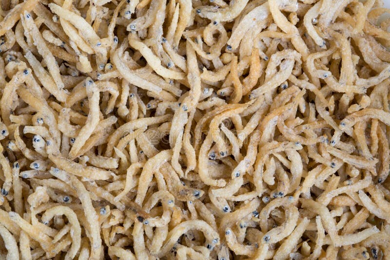 Dried fish stock photo. Image of seafood, food, dead - 40546574