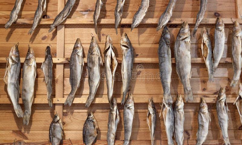 Dried fish stock image. Image of eviscerated, gourmet - 43560559