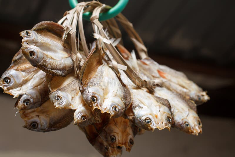 Dried fish stock photo. Image of fish, cooking, catch - 41634954