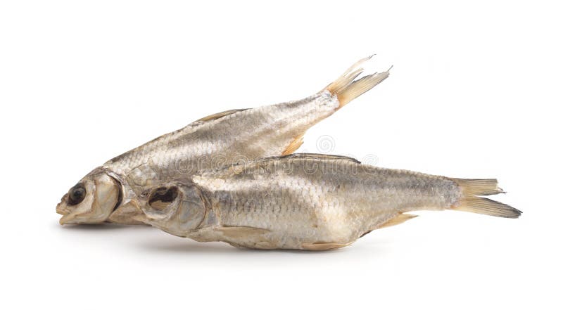 Dried Fish Isolated on White Background Stock Photo - Image of prepared ...