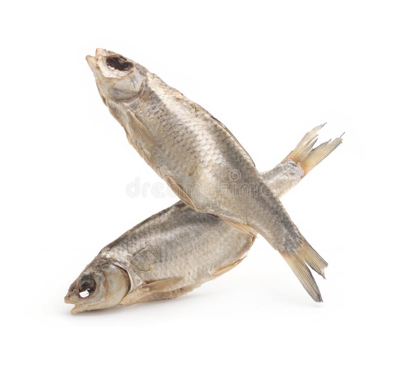 Dried Fish Isolated on White Background Stock Image - Image of food ...