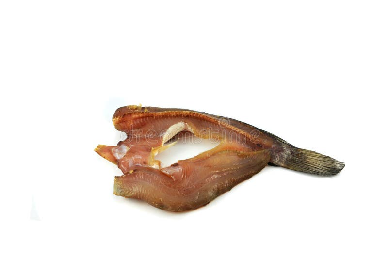 Dried fish Tilapia stock photo. Image of food, nature - 49937064