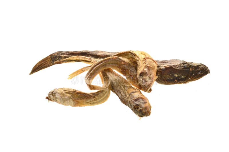 Dried Fish Isolated on White Background Stock Image - Image of gourmet ...