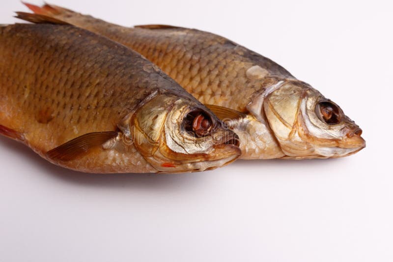 Dried fish isolated stock photo. Image of healthy, fishing - 166779752