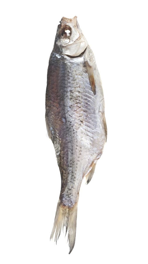 Dried Fish Isolated on White Stock Photo - Image of preserved, bunch ...