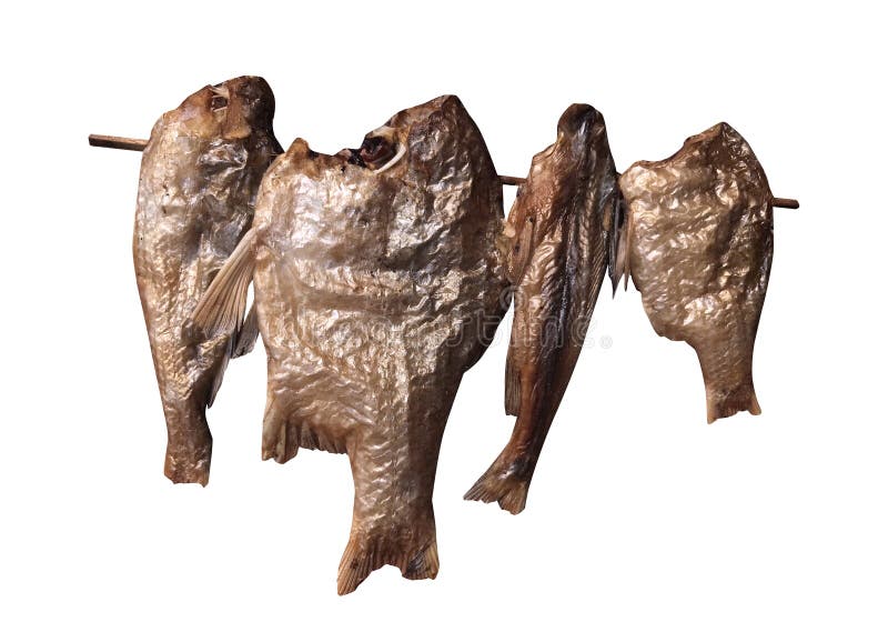 Dried Fish Isolated on White, Dry Fish Image for Preservation Menu ...