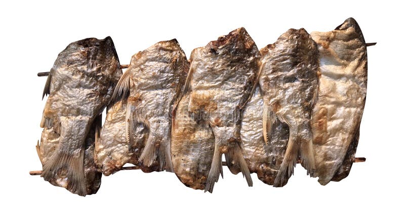 Dried Fish Isolated on White, Dry Fish Image for Preservation Menu ...