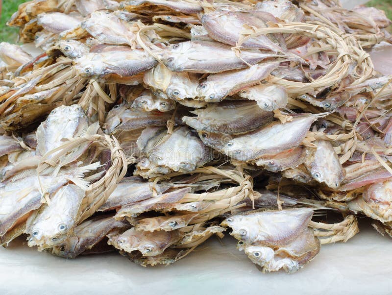 Dried fish stock photo. Image of color, shiny, preserved - 42759450