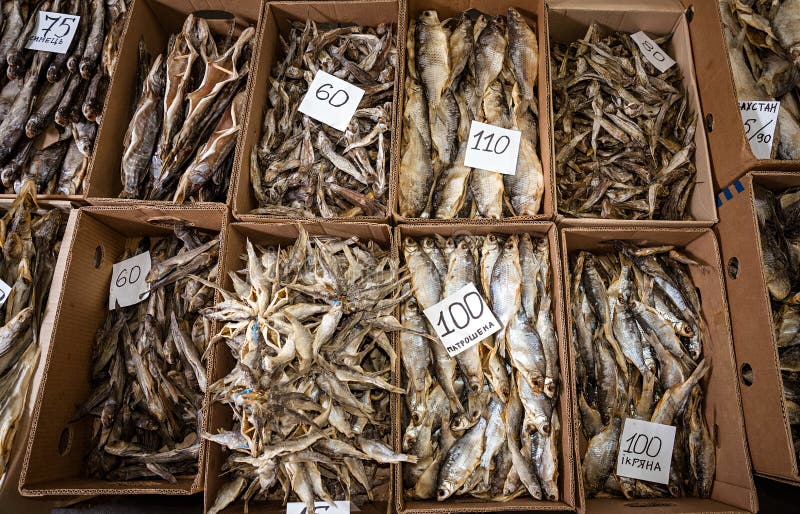 Dried fish at market stock photo. Image of preparation - 77596606