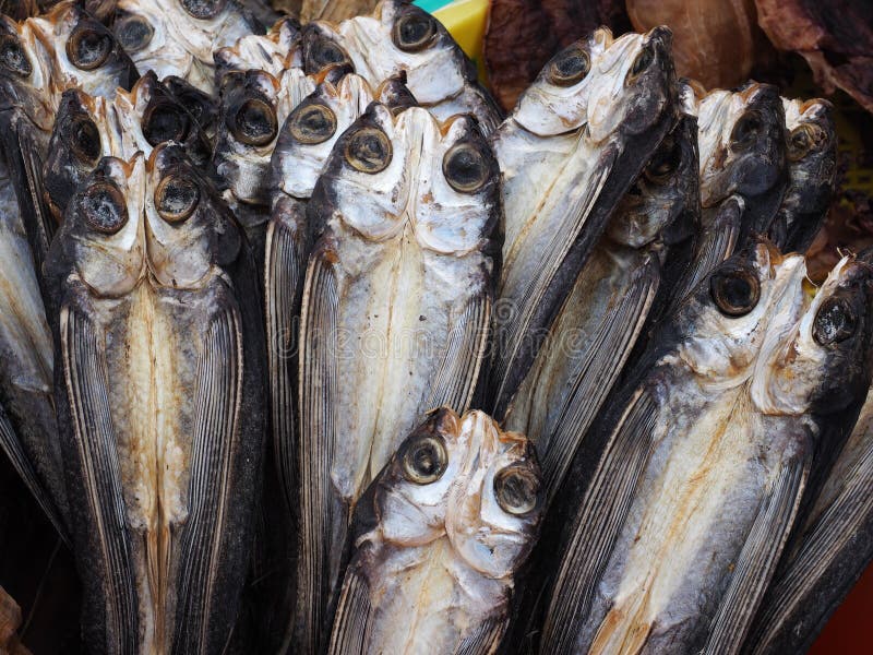 Dried fish stock image. Image of natural, asia, cuisine - 31696535