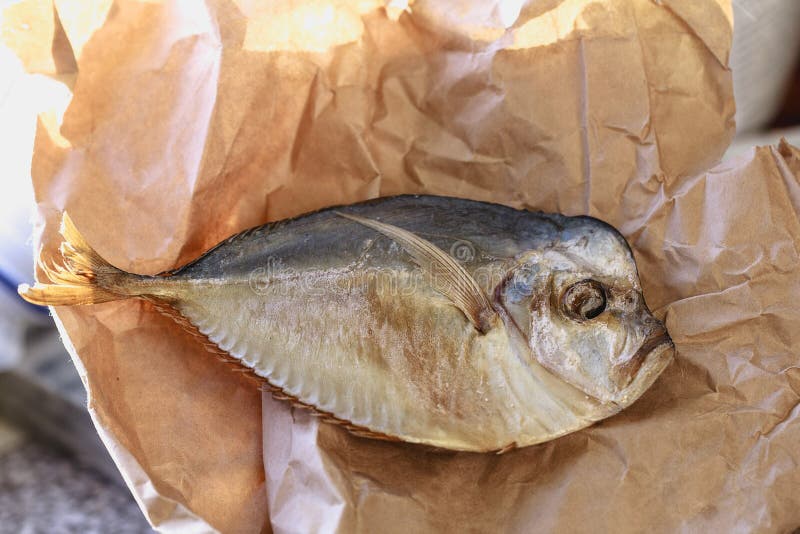 Dried fish stock photo. Image of gold, fish, chiapas - 41470158