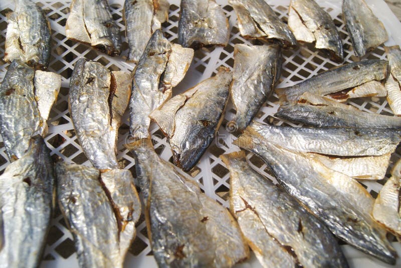Dried fish stock photo. Image of fish, dried, cargo, still - 37068964