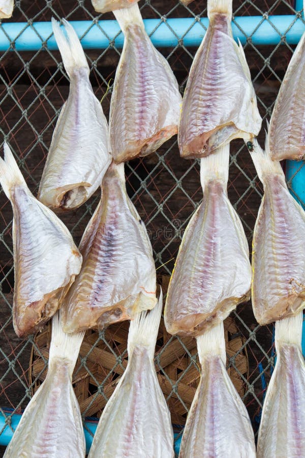 Dried Fish stock image. Image of seafood, light, tasty - 43872173