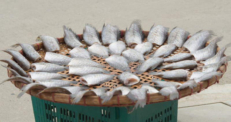 Dried Fish Placed on a Bamboo Tray Stock Image - Image of fishery, fish ...