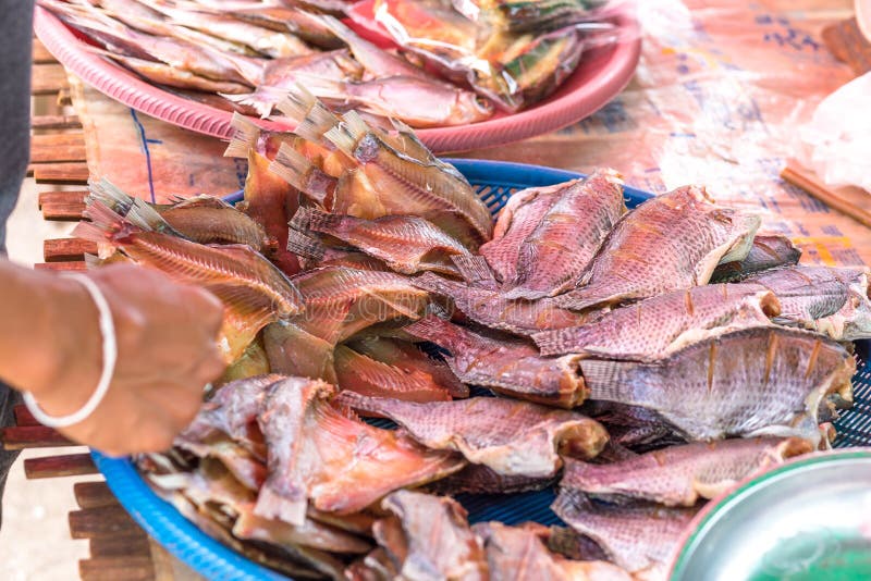 Dried fish on a plate stock image. Image of group, composition - 45334953