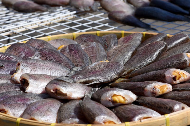 Dried fish. stock photo. Image of fresh, outdoor, outdoors - 58007802
