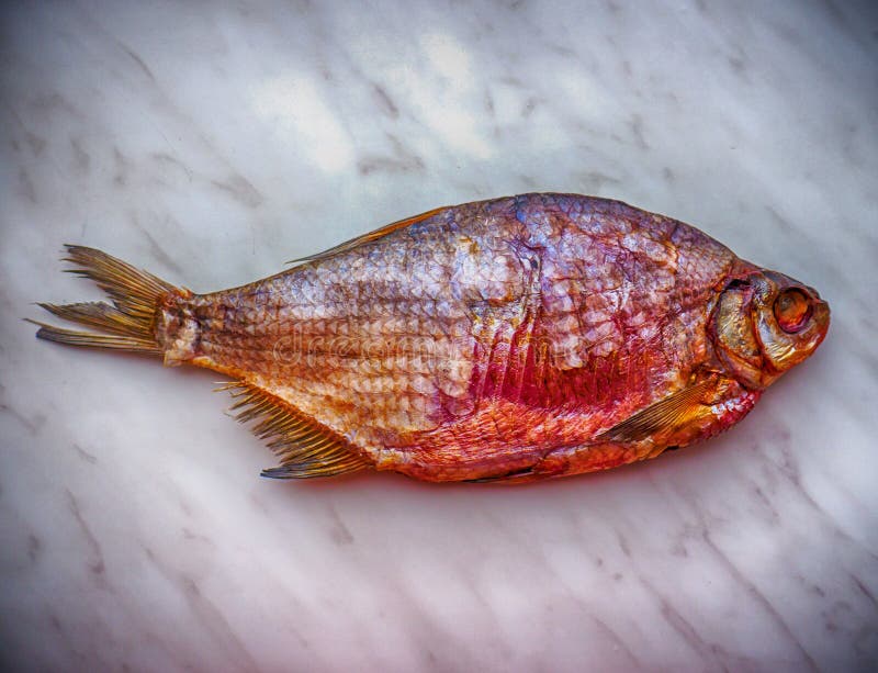 Dried Fish. stock image. Image of meat, pike, appetizer - 118336763