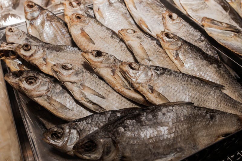 Rutilus Caspicus Stock Photos - Free & Royalty-Free Stock Photos from ...