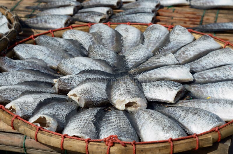 Dried Fish stock image. Image of threshing, preserve - 44910821