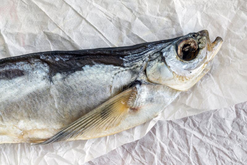 Dried fish sabrefish stock photo. Image of food, dried - 59317758