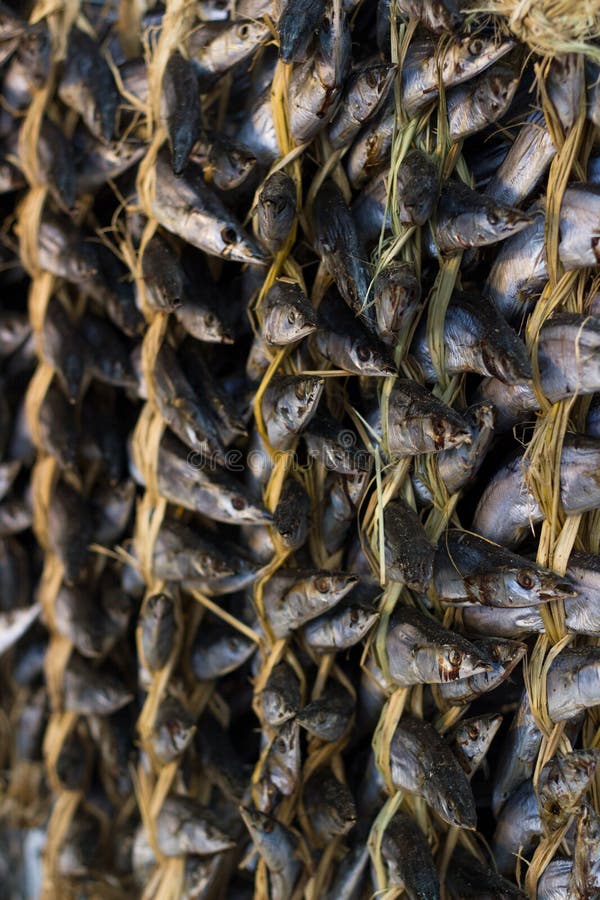 Dried fish stock image. Image of delecious, sale, color - 48543395