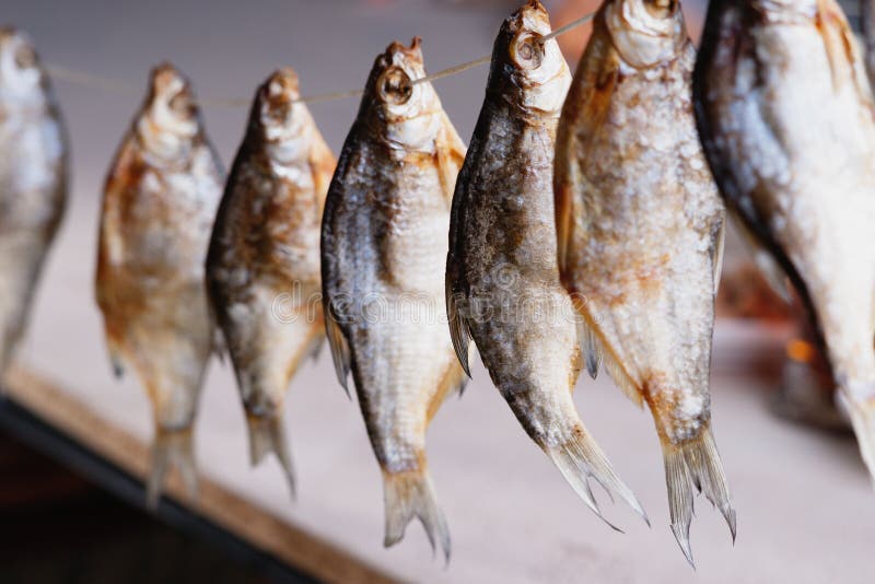 Dried fish stock photo. Image of seafood, market, salted - 76680272
