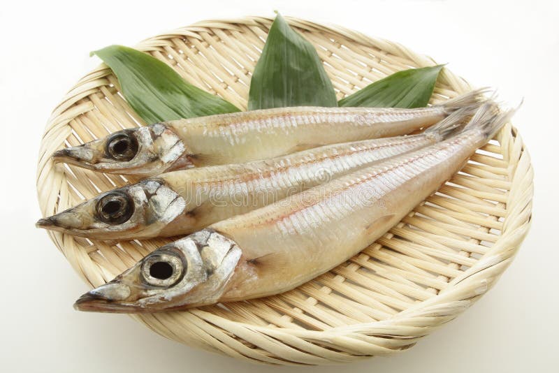 148 Silver Whiting Stock Photos - Free & Royalty-Free Stock Photos from ...