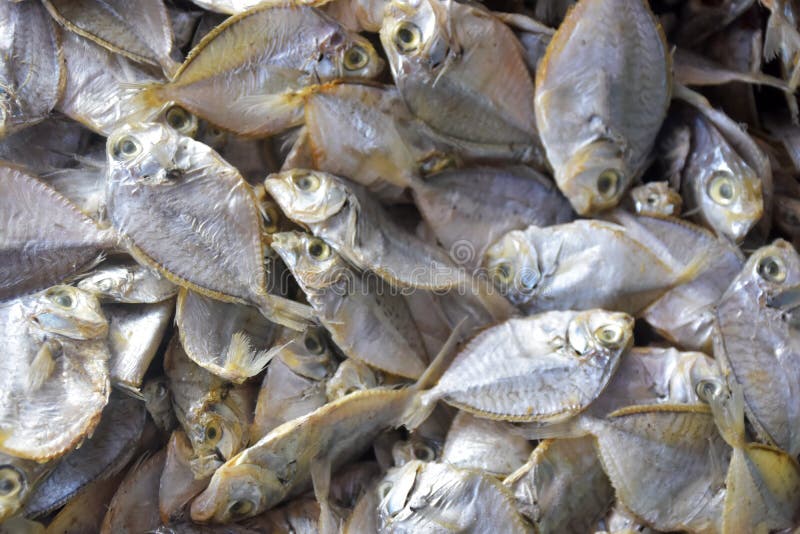 Small Edible Fish Sale Stock Photos - Free & Royalty-Free Stock Photos ...