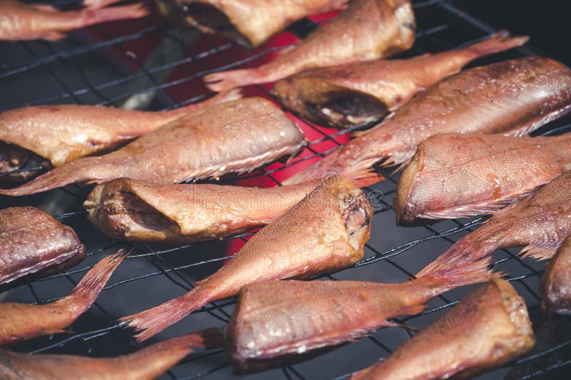 Kipper fish on the plate stock image. Image of seafood - 192786997