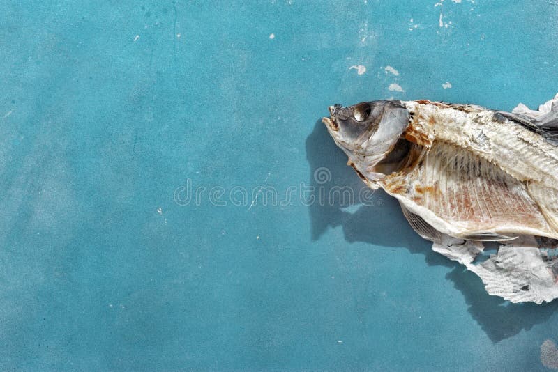 Dried Fish Stone Blue Background Top View Stock Image - Image of table ...