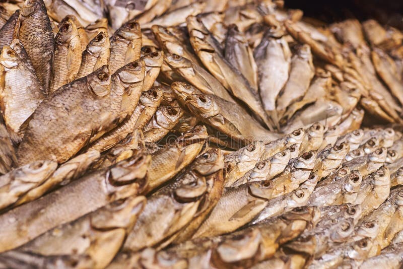 Dried fish in the store stock photo. Image of nature - 126753198