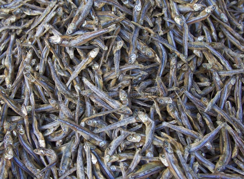 Dried fish stock photo. Image of seafood, gourmet, turkey - 14417800