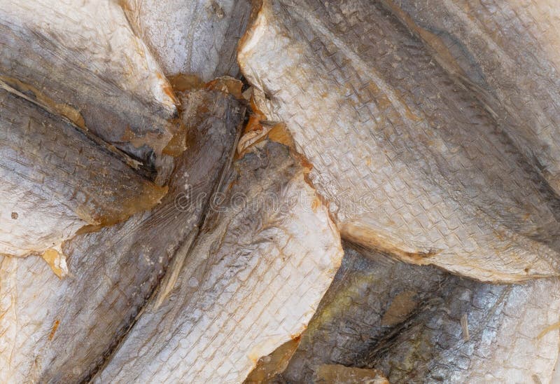 Dried Fish Texture Background Flatfish Stock Photos - Free & Royalty ...