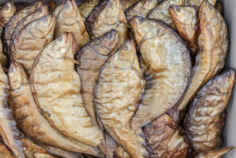 Dried fish textures stock image. Image of salted, fishes - 34425277