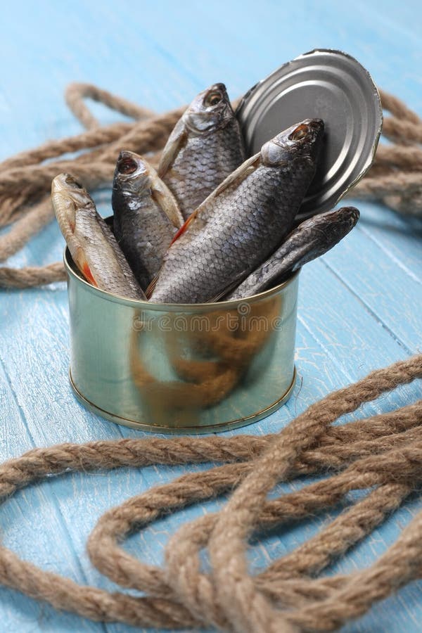Dried Fish in a Tin on Blue Boards Stock Photo - Image of banch, large ...