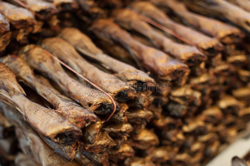 Dried fish stock image. Image of nutrition, food, preserved - 32545661