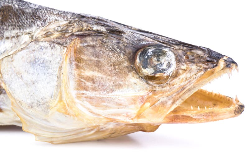Dried fish walleye stock photo. Image of dead, dinner - 50558408