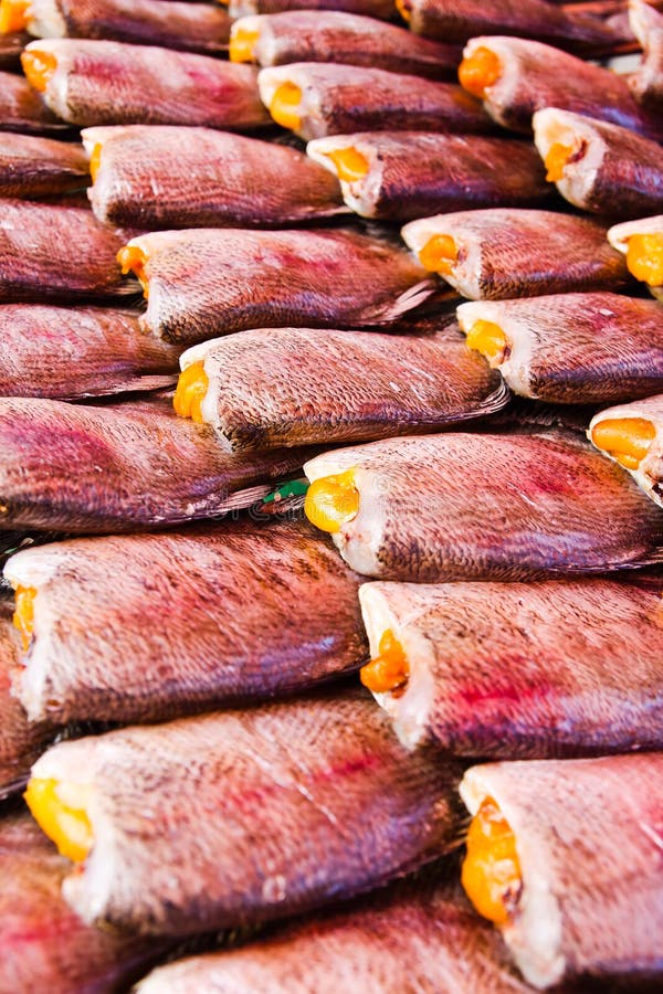 Dried fishes stock image. Image of asia, fishing, processing - 27108759