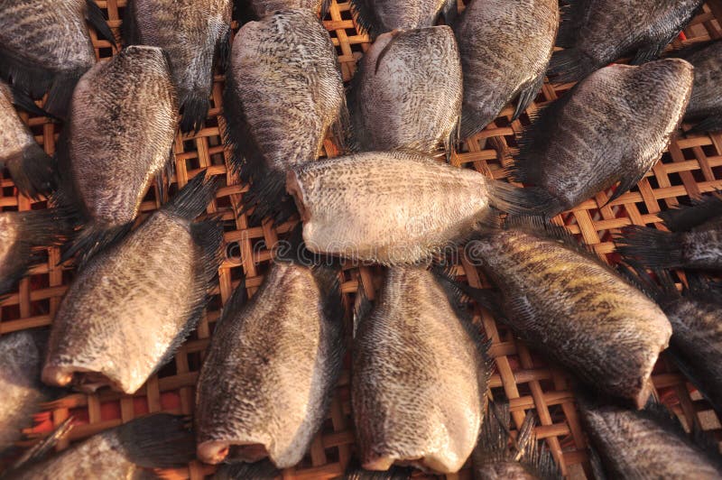 Dried fishes stock image. Image of nutritious, basket - 28413209