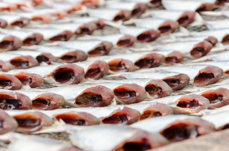 Dried fishes stock photo. Image of food, basket, brine - 30482858