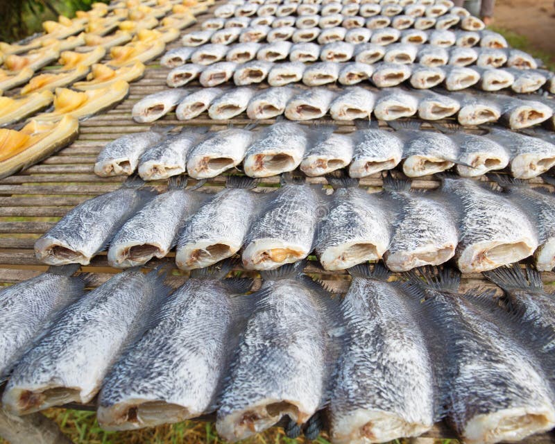Dried Fishs of Local Food at Open Market Stock Image - Image of island ...