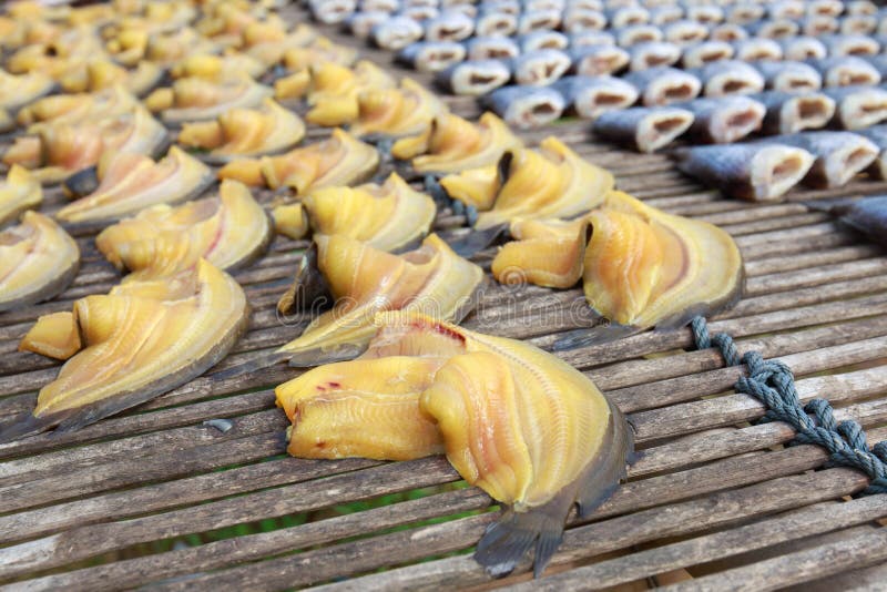 Dried Fishs of Local Food at Open Market Stock Photo - Image of asian ...