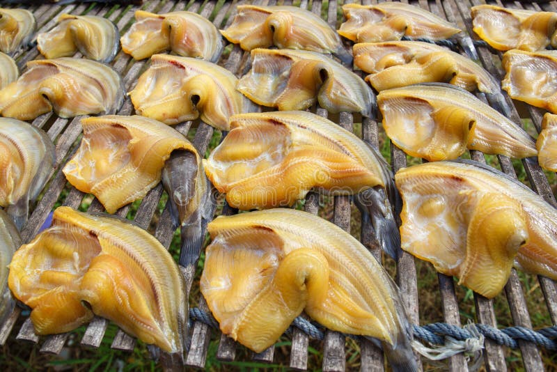 Dried Fishs of Local Food at Open Market Stock Image - Image of life ...